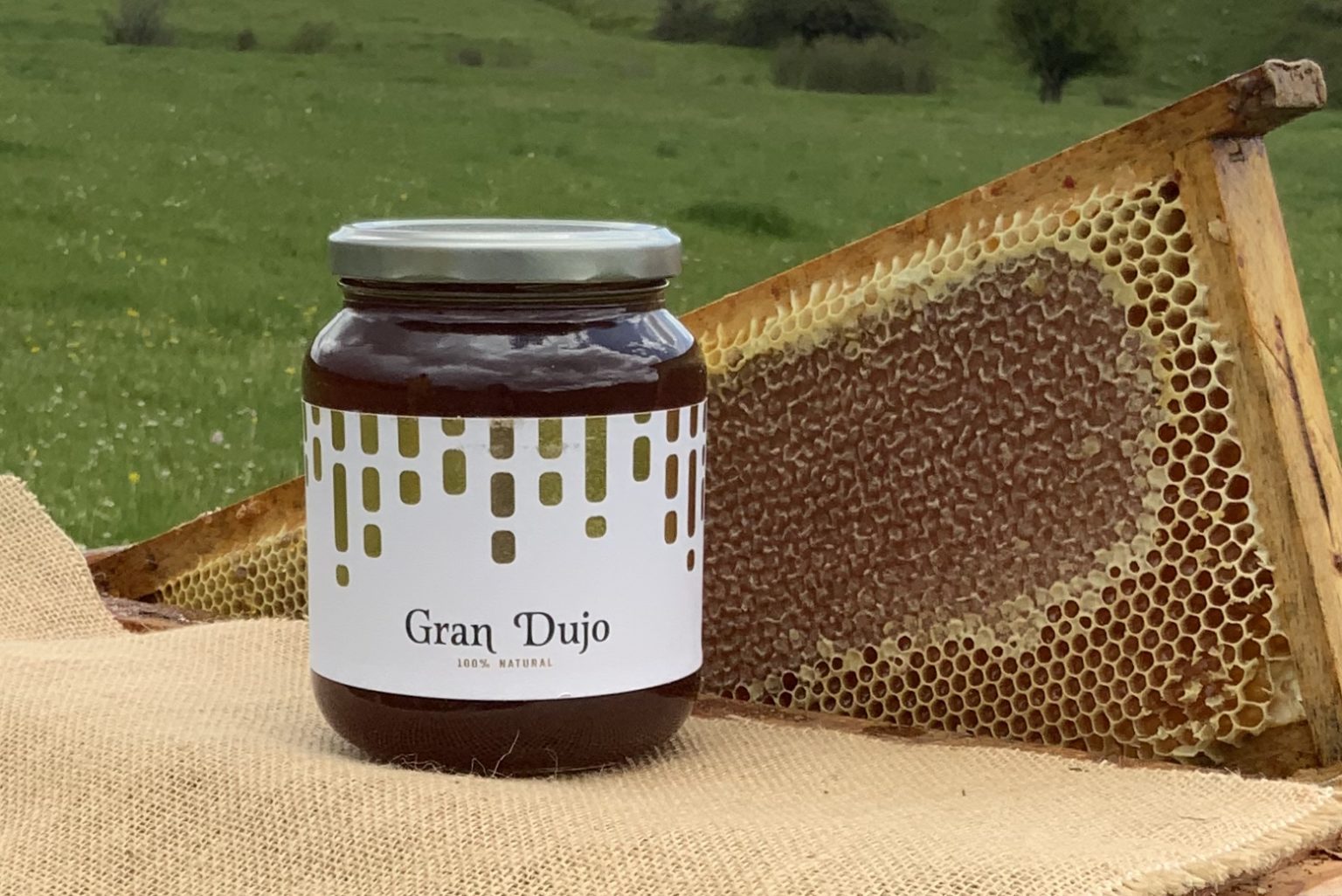 Miel de Eucalipto - Miel Gran Dujo