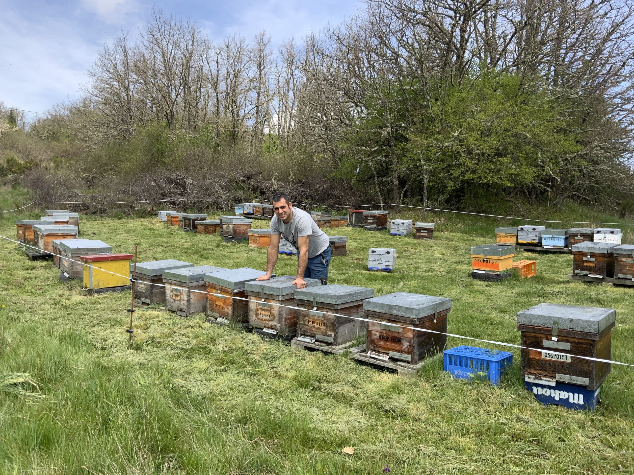 Conoce nuestras colmenas - Conócenos - Miel Gran Dujo
